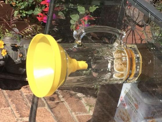 How to make a homemade WASP trap | Grandma's Things