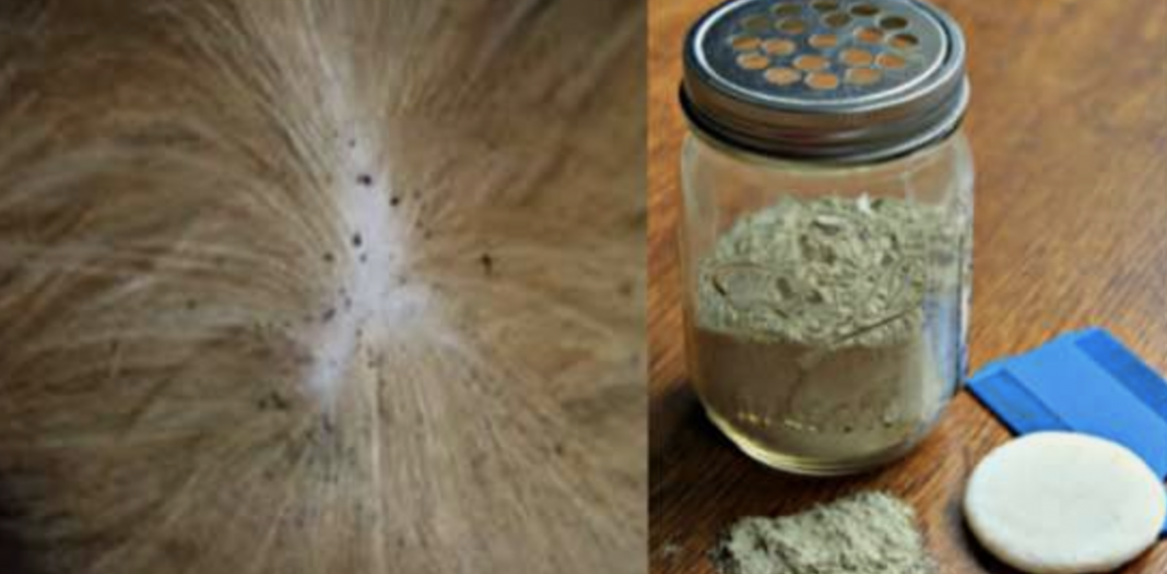 How to make a DIY natural flea and tick powder | Grandma's Things