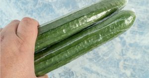 Why Are English Cucumbers Always Vacuum-wrapped In Plastic? | Grandma's ...