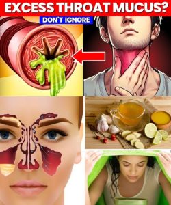4 Effective Home Remedies to Eliminate Mucus and Phlegm from the Throat ...